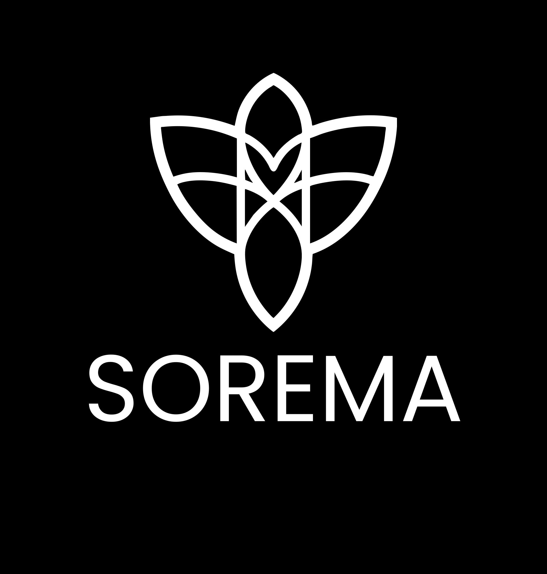 Log In – Sorema Fitness